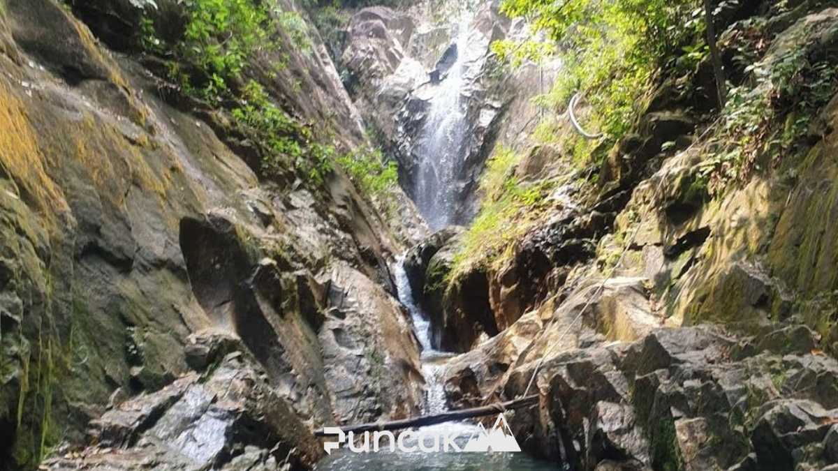 Hiking, Air Terjun & View Cantik? Semua Ada di Gunung Pulai!