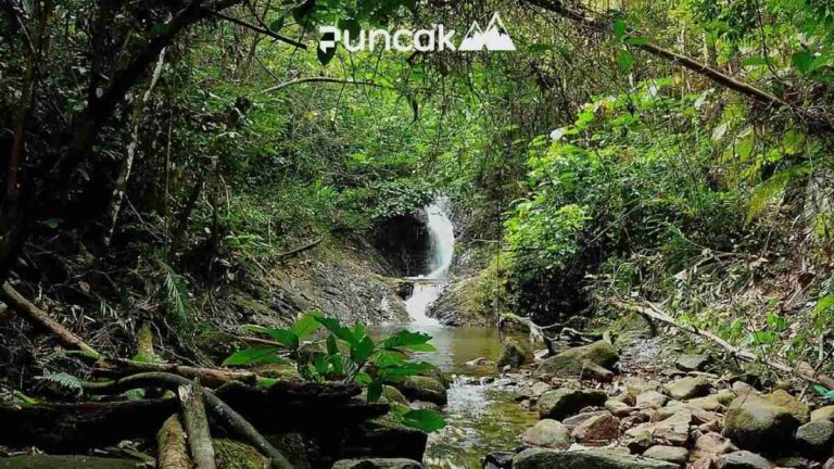 Hiking, Air Terjun & View Cantik? Semua Ada di Gunung Pulai!