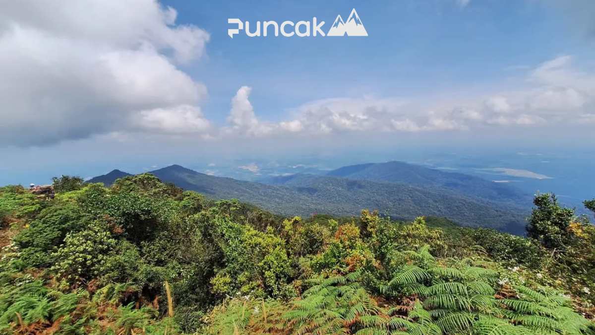 Gunung Ledang, Legenda Puteri & Lokasi - Puncakgunung
