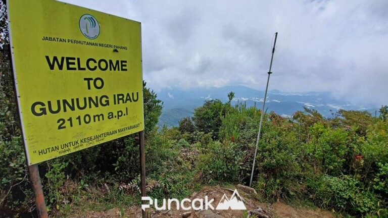 Gunung Rapat Ada Apa? Ini 7 Sebab Ramai Tak Sangka