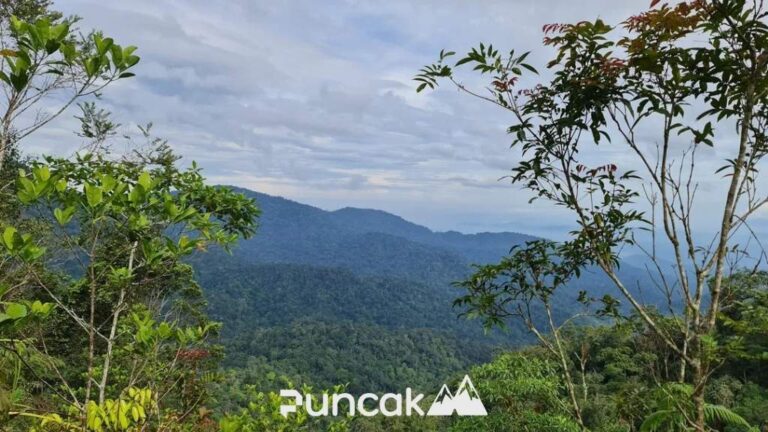 Gunung Tahan, Cabaran Paling Gila di Semenanjung Malaysia