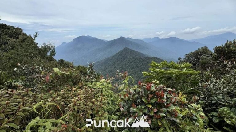 Terungkap! Keindahan Rahsia Gunung Liang - Puncakgunung